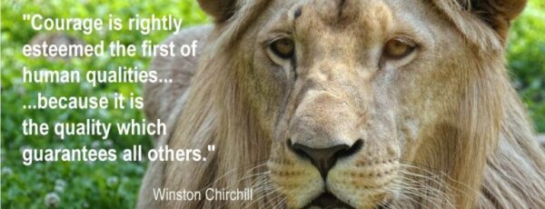 Audacious Leadership: Leading with Courage - Ricky Nowak